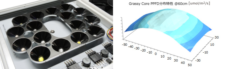 Grassy Core / グラッシー・コア – ボルクスジャパン