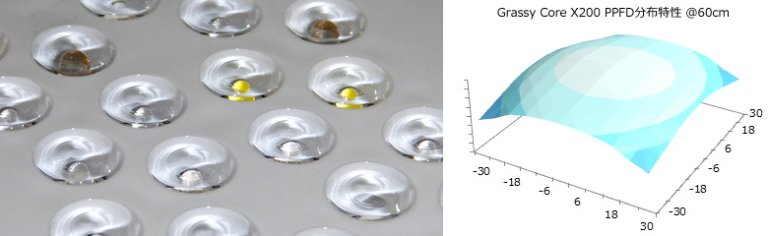Grassy CoreX / グラッシー・コアX – ボルクスジャパン