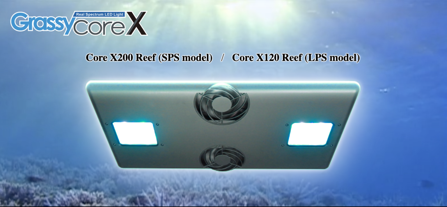 Grassy CoreX / グラッシー・コアX – ボルクスジャパン